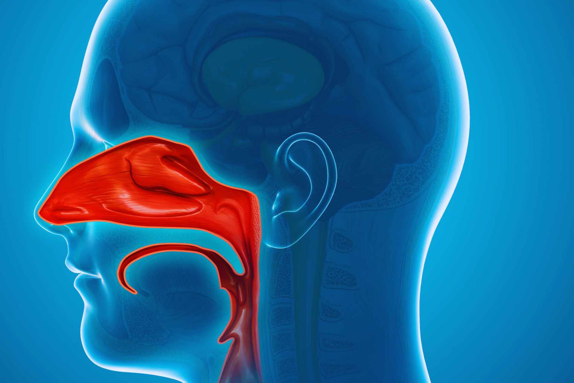 Causas y síntomas de la congestión nasal – Miguel Isaac Khoury Siman