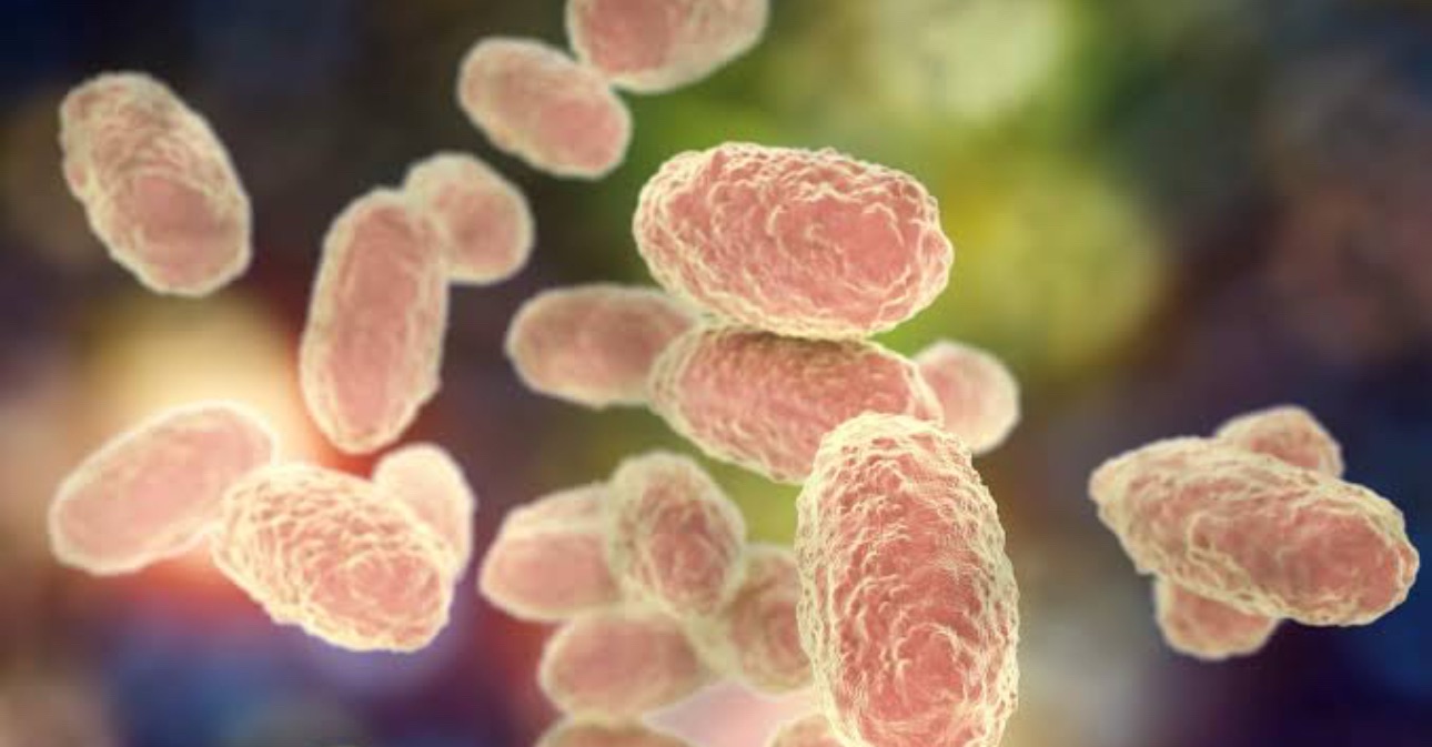 La tos ferina y sus síntomas – Miguel Isaac Khoury Siman